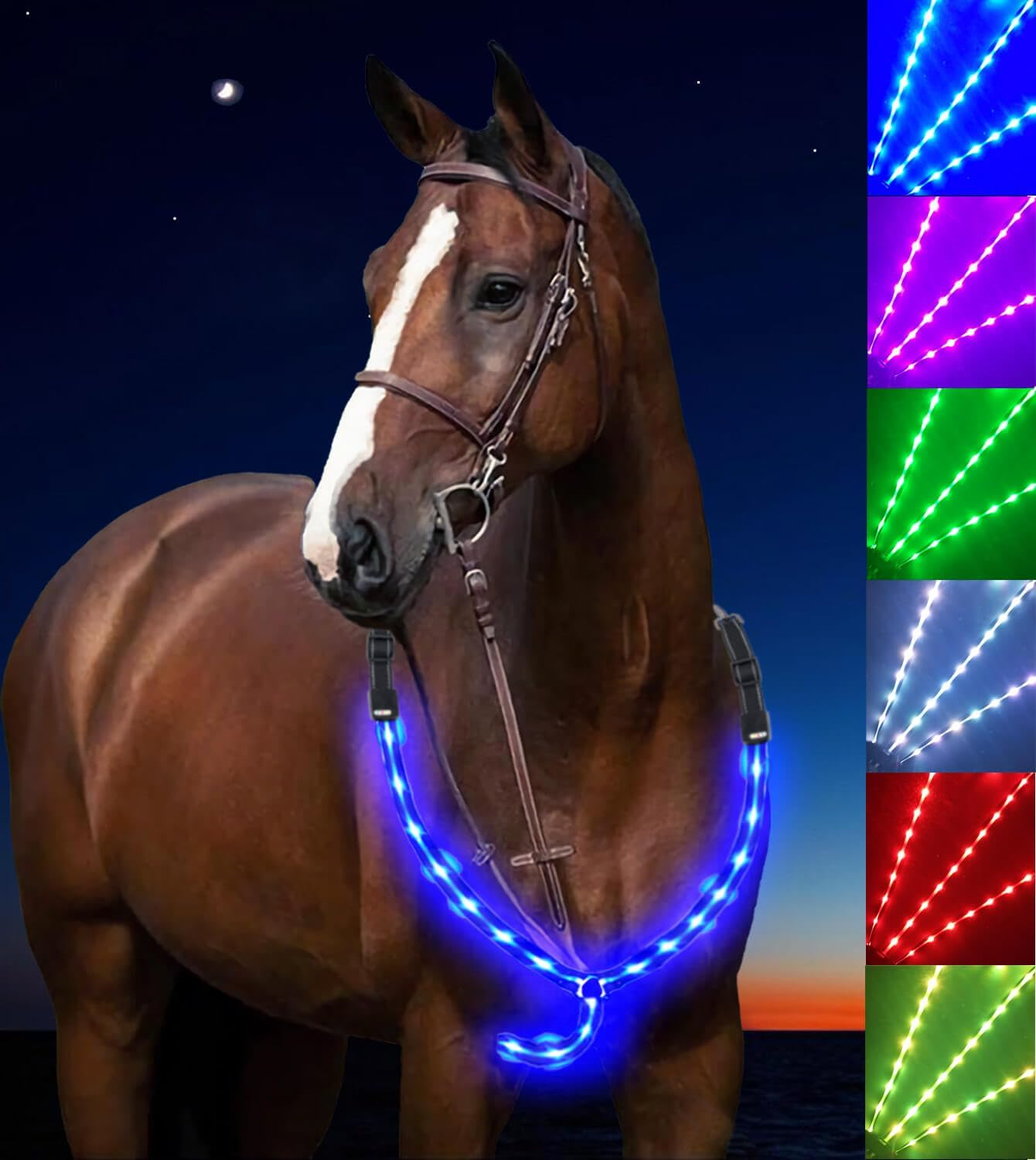 Horse LED Safety Lights – GlowHorse
